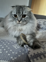 Иконка канала Маман-гурман