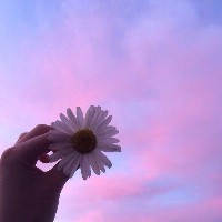 Иконка канала zedslime