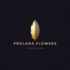 Иконка канала ProLana.Flowers