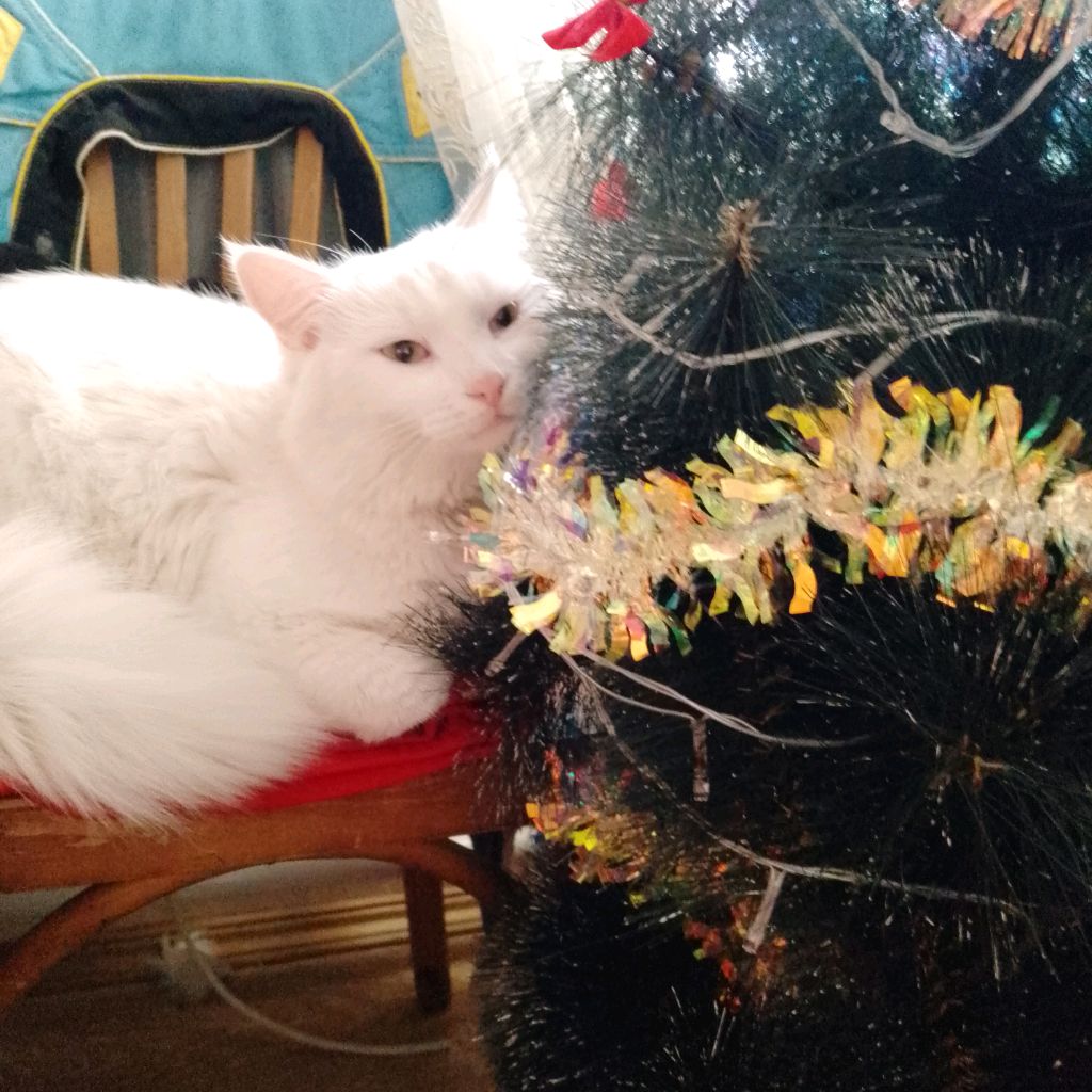 Иконка канала Эдик шоу