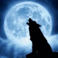 Иконка канала AUF