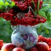 Иконка канала Анастасия Репникова
