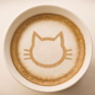 Иконка канала Cup of Cattuccino || Кошки Ragdoll