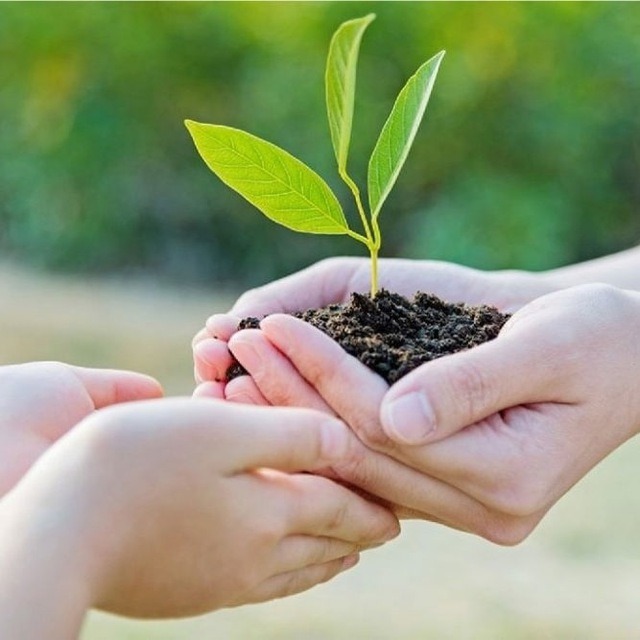 Иконка канала Школа будущего с Владимиром Серебряковым