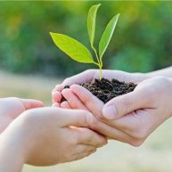 Иконка канала Школа будущего с Владимиром Серебряковым