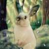 Иконка канала Fluffy Life