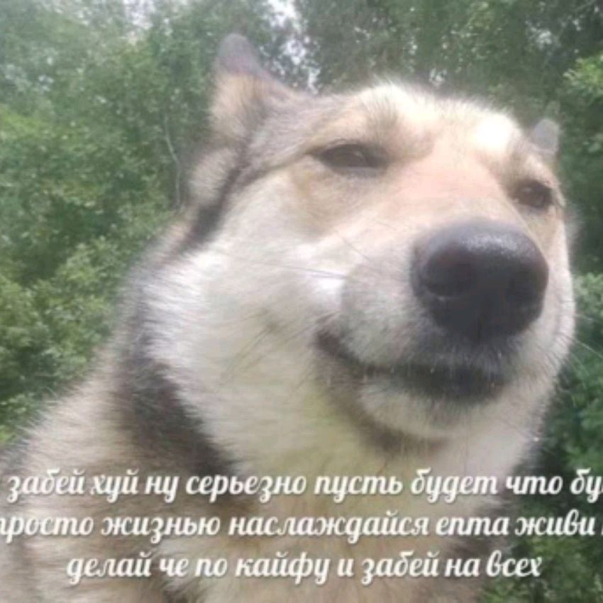 Иконка канала Ray Goku