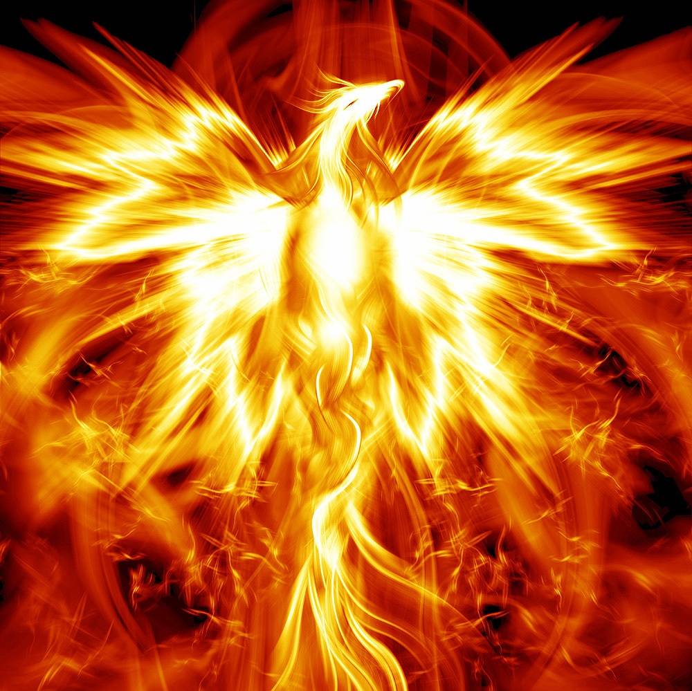 Иконка канала LVL