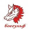 Иконка канала boegulf