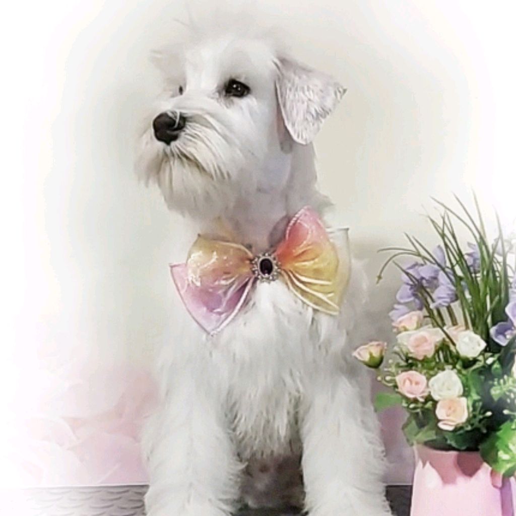 Иконка канала ZooViPersonA