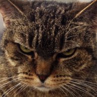 Иконка канала Мастер холодильников и стиральных машин