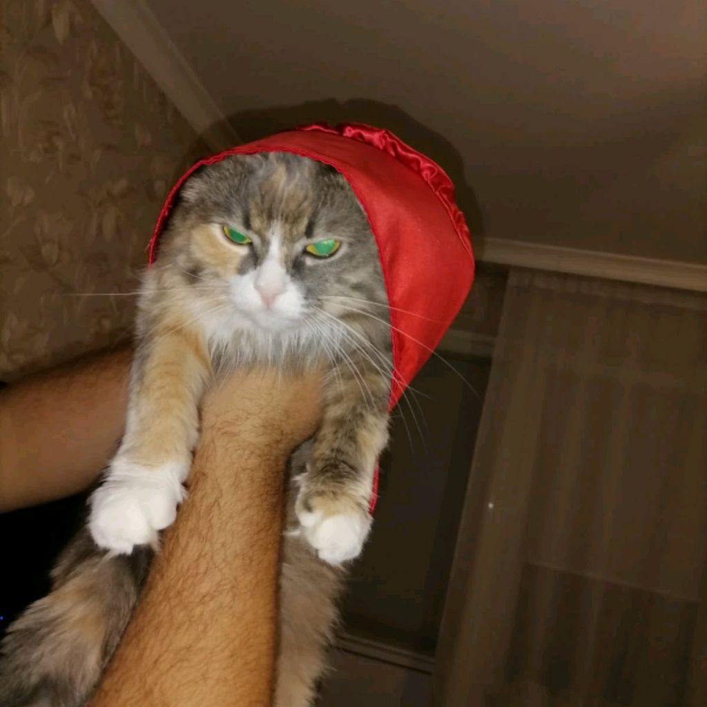 Иконка канала Белла Bella