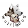 Иконка канала multi_dog