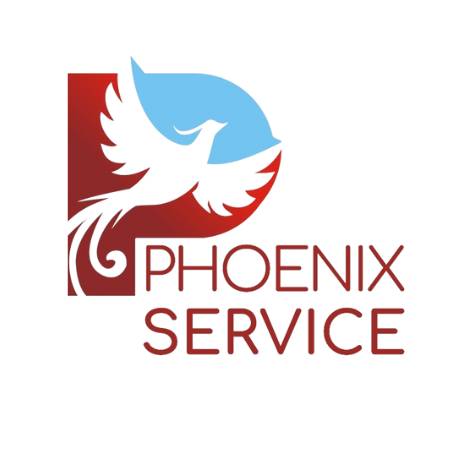 Иконка канала Феникс сервис лечение