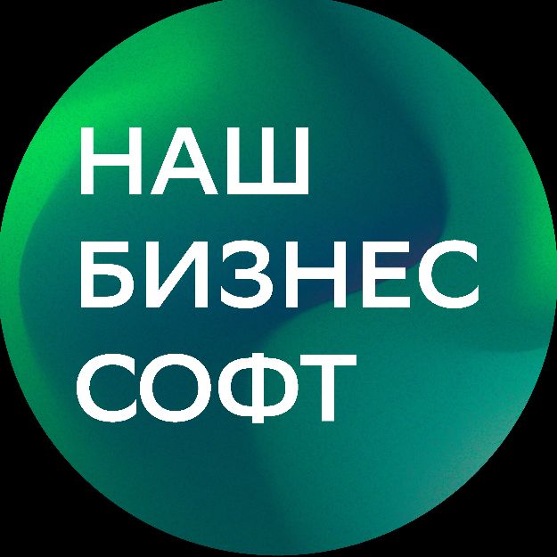 Иконка канала Наш Бизнес Софт