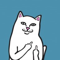 Иконка канала 40catsFM