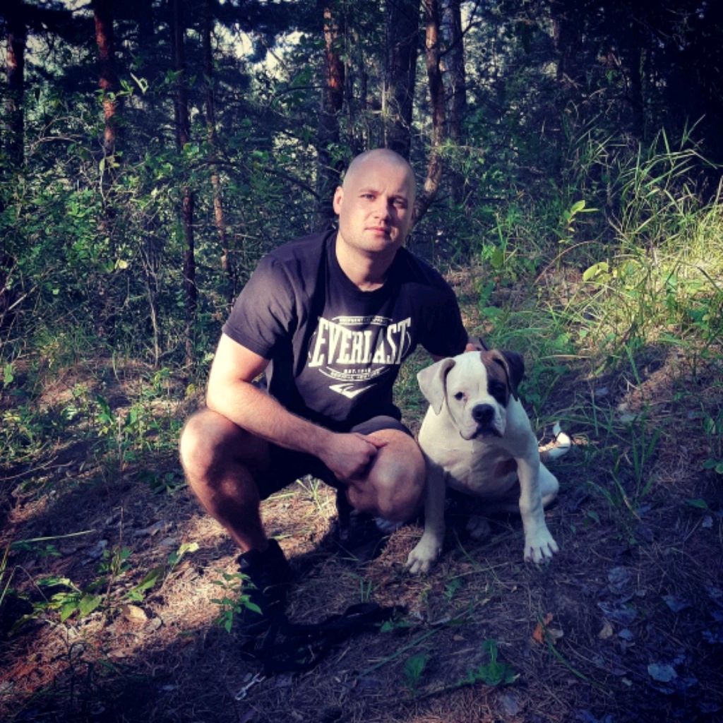 Иконка канала Американский Бульдог