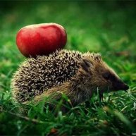 Иконка канала Andreas Willamette