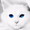 Иконка канала Александр и Ирина