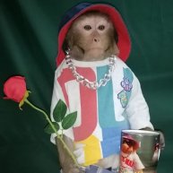 Иконка канала Яша Лазаревский