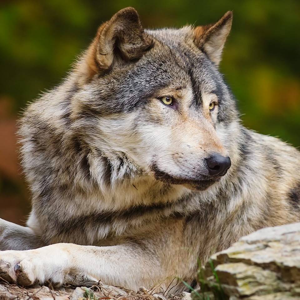 Иконка канала В.А.М.