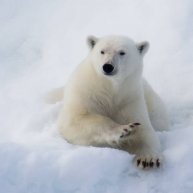 Иконка канала Путевые заметки с борта ледокола