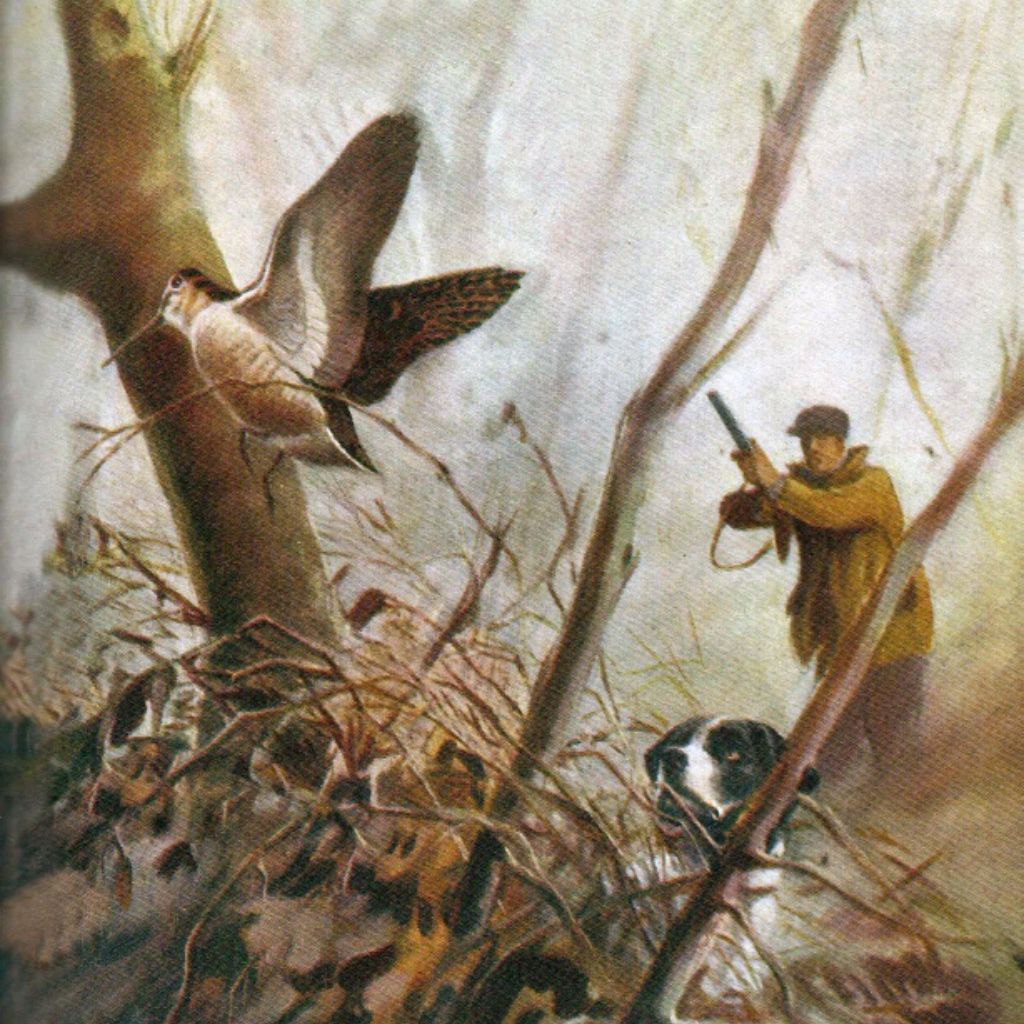 Иконка канала Охотник МО