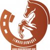 Иконка канала Конный Клуб Темная Лошадка. п.Монетный Свердл.обл