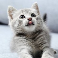 Иконка канала Добрый канал