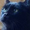 Иконка канала channel30467119