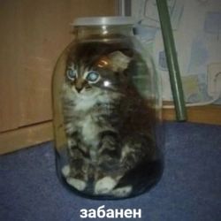 Иконка канала Дмитрий Медведьев