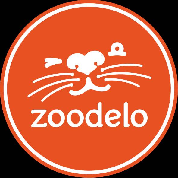 Иконка канала Zoodelo Зоодело