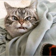 Иконка канала Sonia