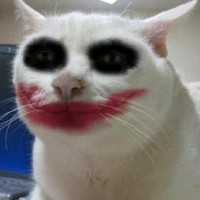 Иконка канала Lexa