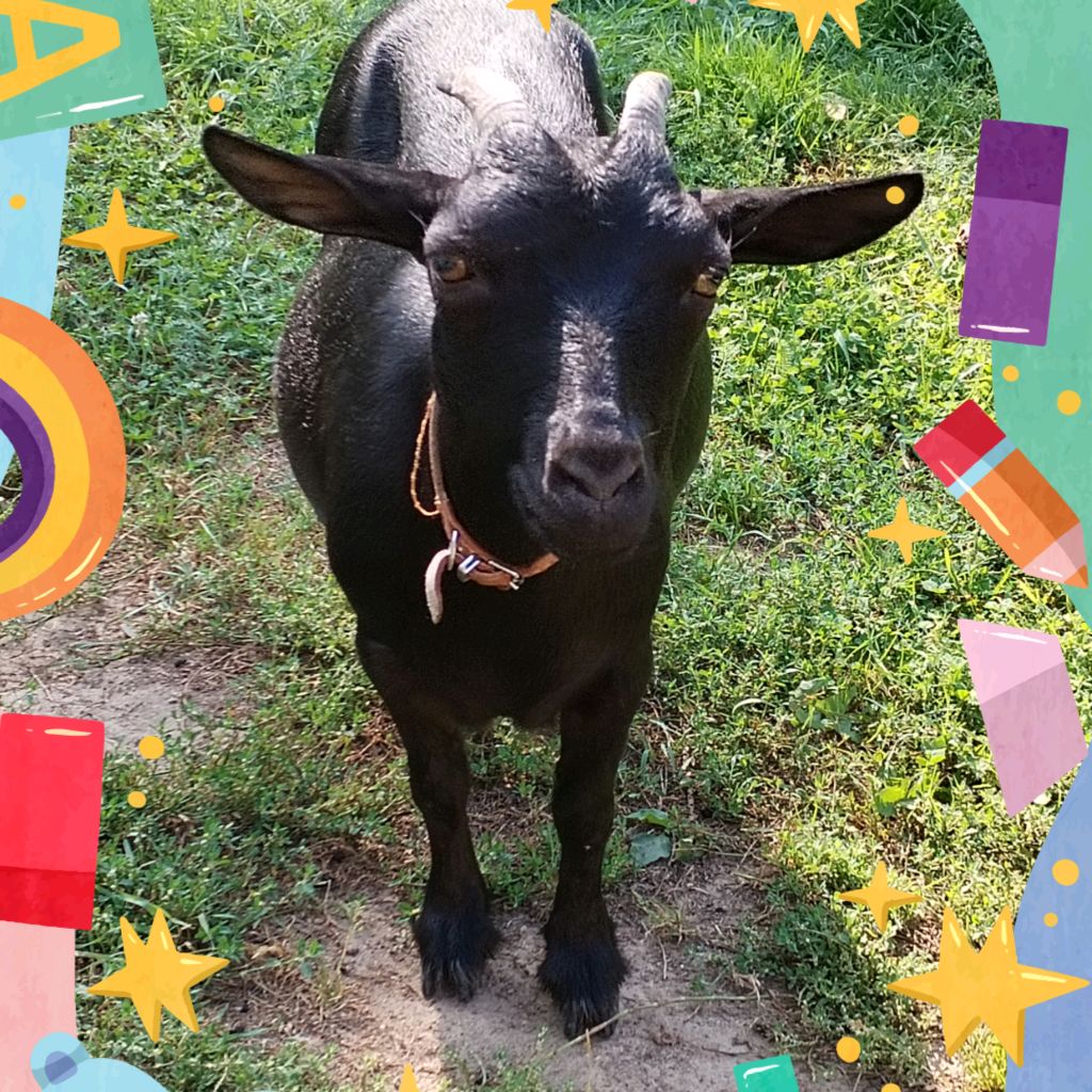 Иконка канала Pichuga