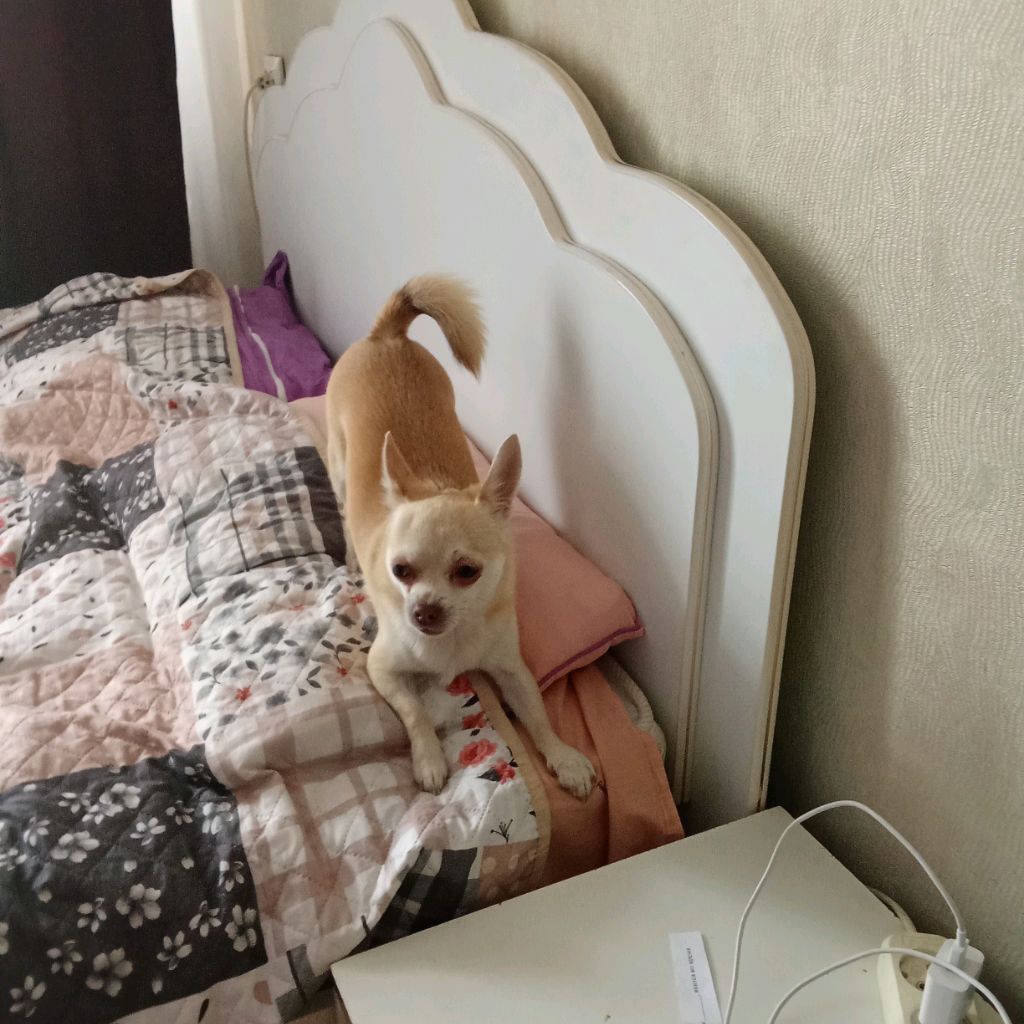 Иконка канала Антошка картошка