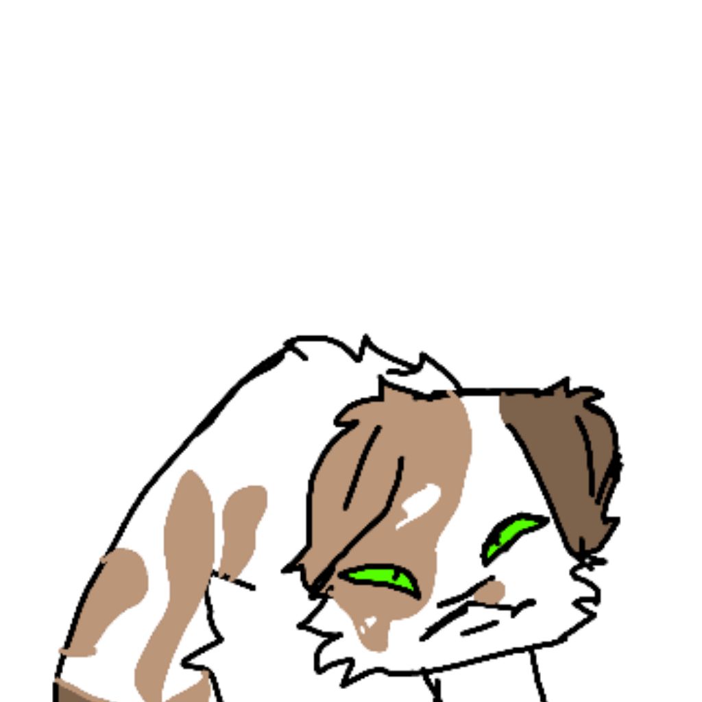 Иконка канала Соколиный глаз