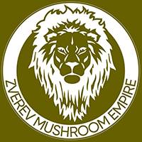 Иконка канала Zverev Mushroom Empire