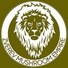 Иконка канала Zverev Mushroom Empire