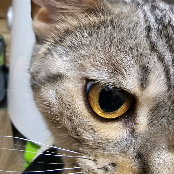 Иконка канала Про все подряд.