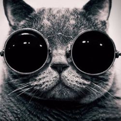 Иконка канала ОФИС НОМЕР 7