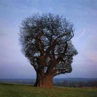 Иконка канала посредник