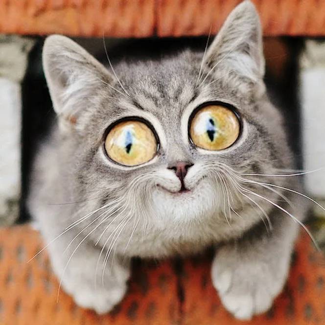 Иконка канала ХОРОШЕЕ НАСТРОЕНИЕ