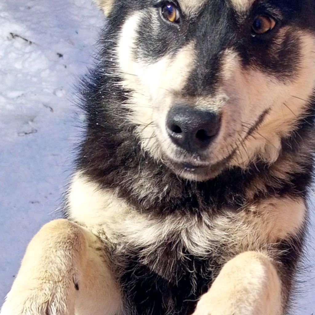 Иконка канала Федечкин Малыш