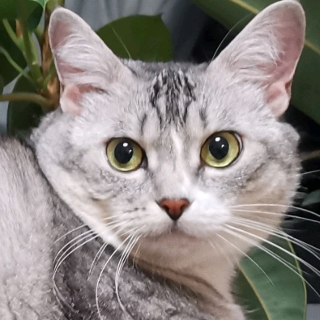 Иконка канала Олег Яковлев