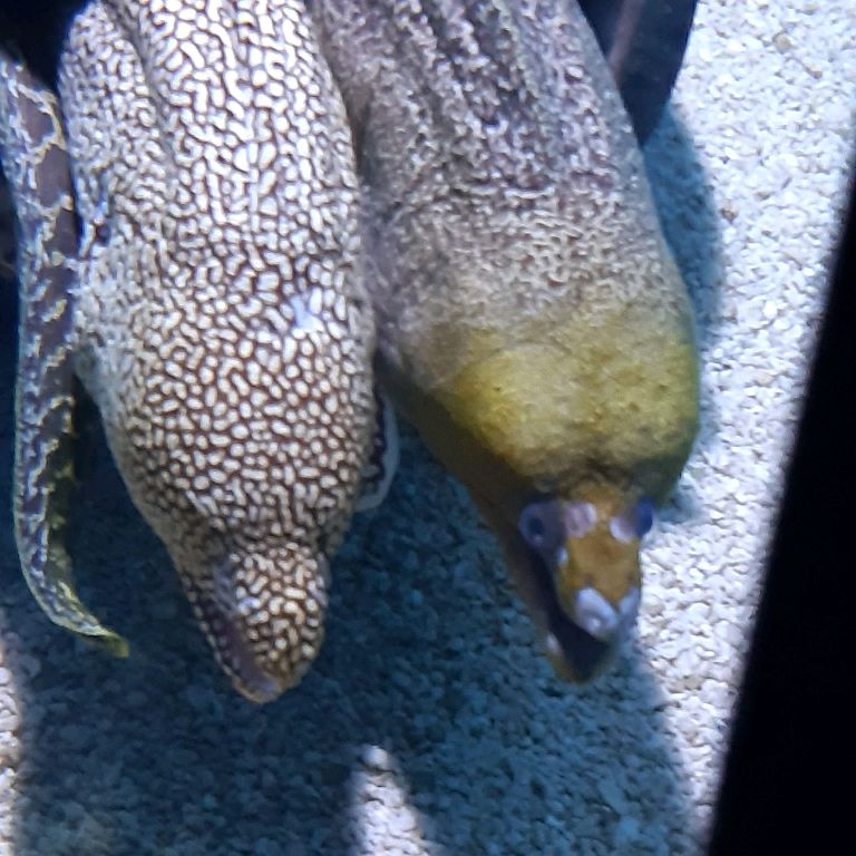 Иконка канала Андмак2