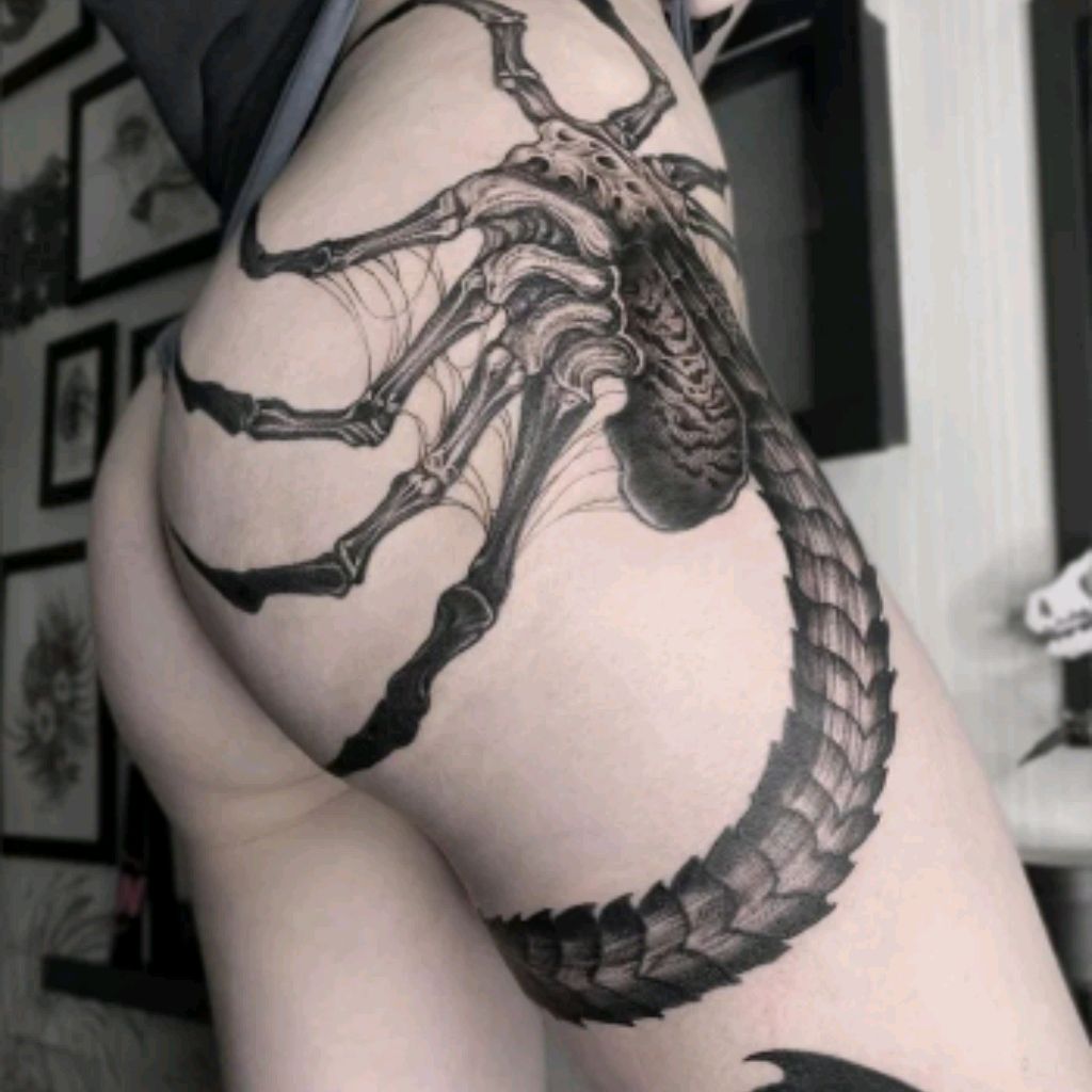 Иконка канала AssaultSpaceMarine