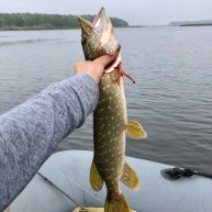 Иконка канала С Таней на рыбалке!