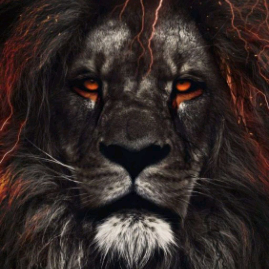 Иконка канала Тёмный лев