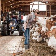 Иконка канала Catlle farm today